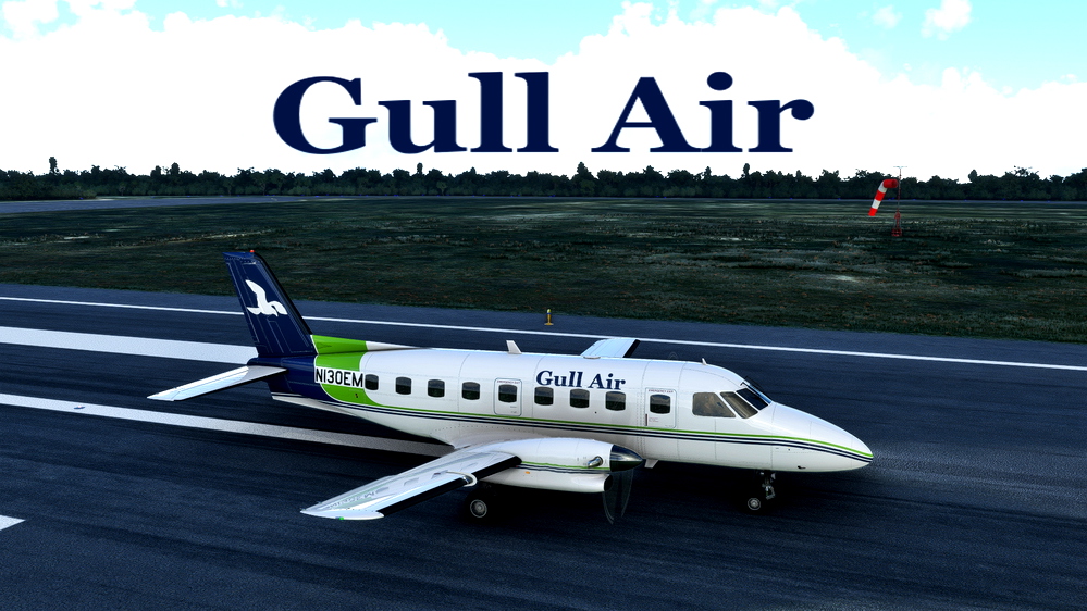 EMB110-P1 Bandeirante Gull Air "N130EM" for Microsoft Flight Simulator ...