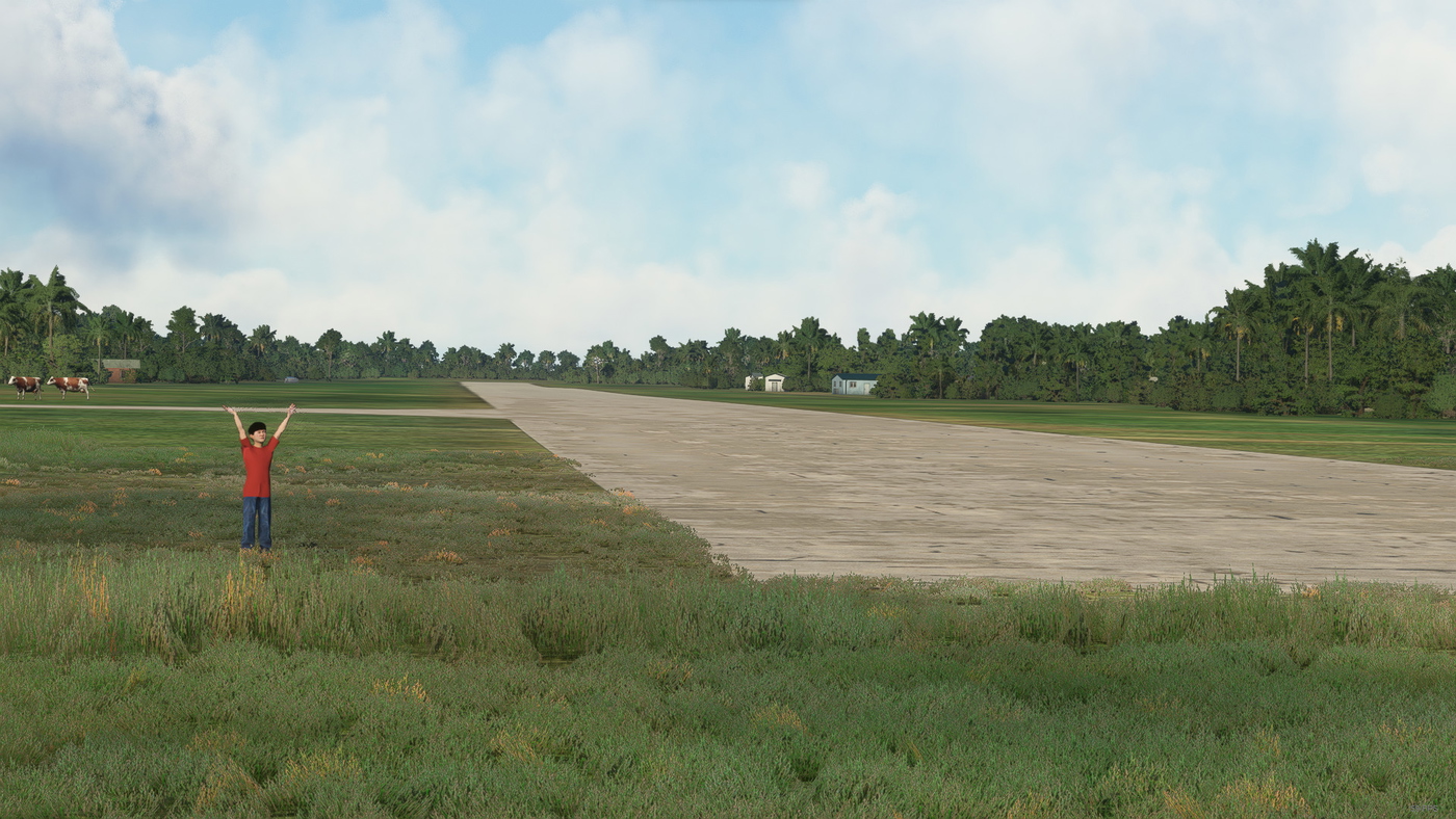 FMNC Mananara Nord Airport for Microsoft Flight Simulator | MSFS