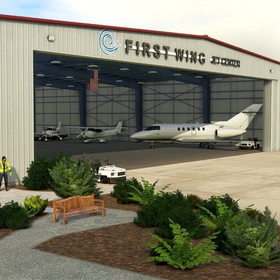 Alkee - Larestan International Airport MSFS for Microsoft Flight ...