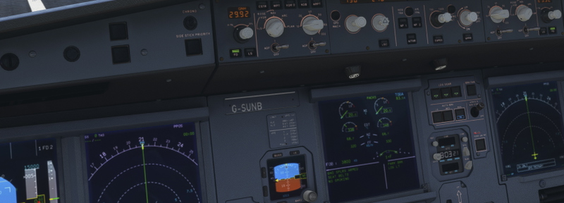 JET2HOLIDAYS G-SUNB for Microsoft Flight Simulator | MSFS