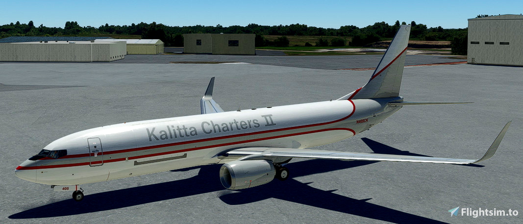 PMDG Boeing 737-800 Liveries のために Microsoft Flight Simulator | MSFS ...