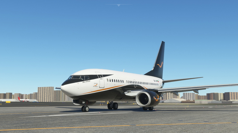 PMDG Boeing 737-600 Liveries for Microsoft Flight Simulator | MSFS