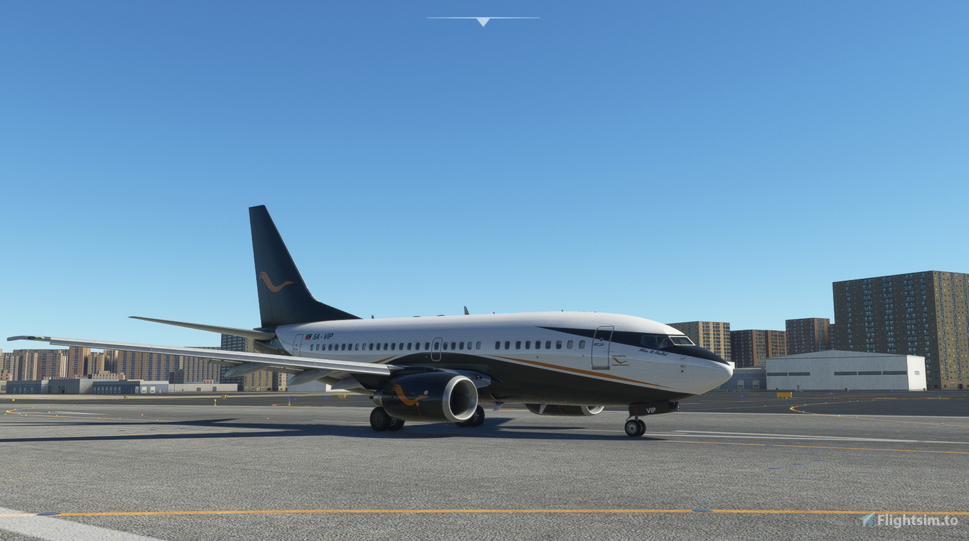LIBYAN EXPRESS VIP (5A-VIP) PMDG 737-600 for Microsoft Flight Simulator ...