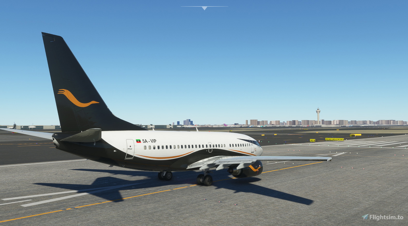 LIBYAN EXPRESS VIP (5A-VIP) PMDG 737-600 for Microsoft Flight Simulator ...
