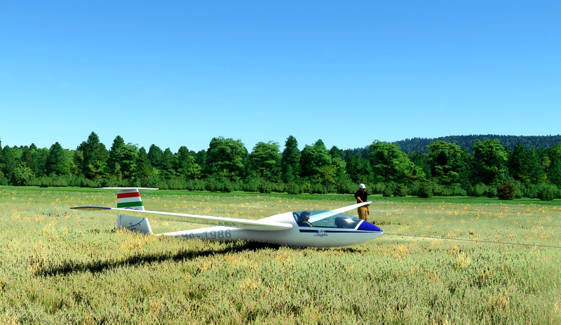 Ls4 Glider MAV flying club Fantasy hungarian livery. Rolladen-Schneider ...