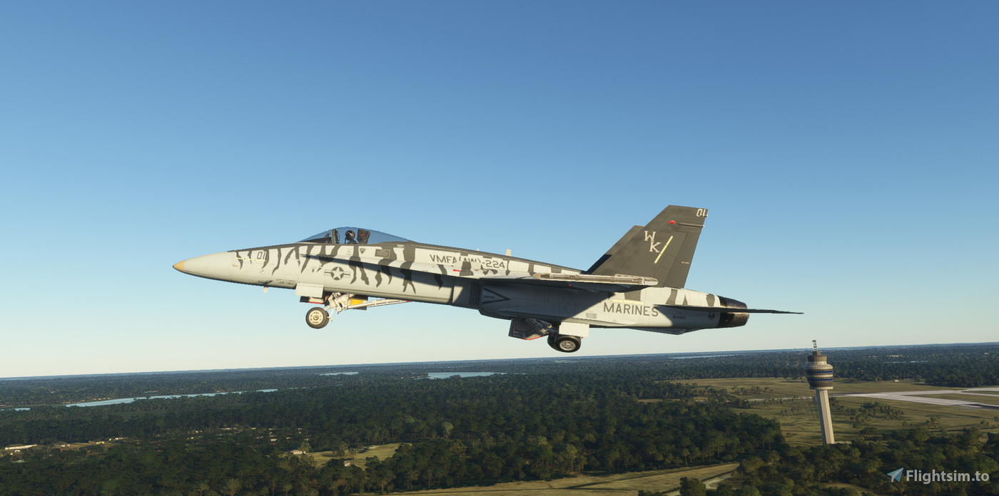 Marine All Weather Fighter Attack Squadron 224 VMFA(AW)224 F-18C CAG ...