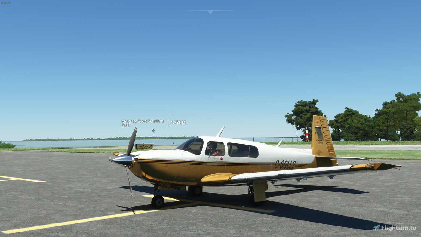 Mooney M20R Ovation 2 "Goldfinger" User Def. Reg. für Microsoft Flight ...