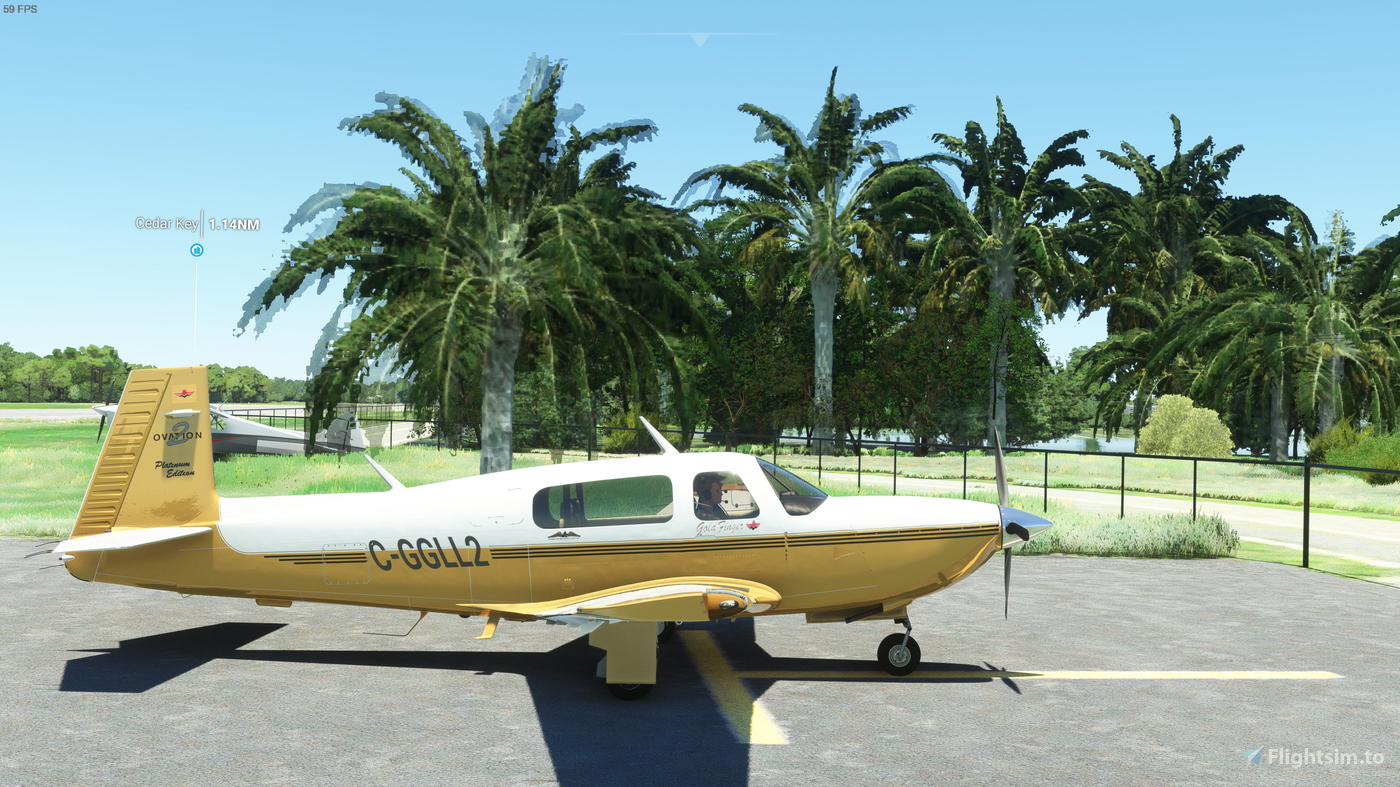 Mooney M20R Ovation 2 "Goldfinger" User Def. Reg. for Microsoft Flight ...