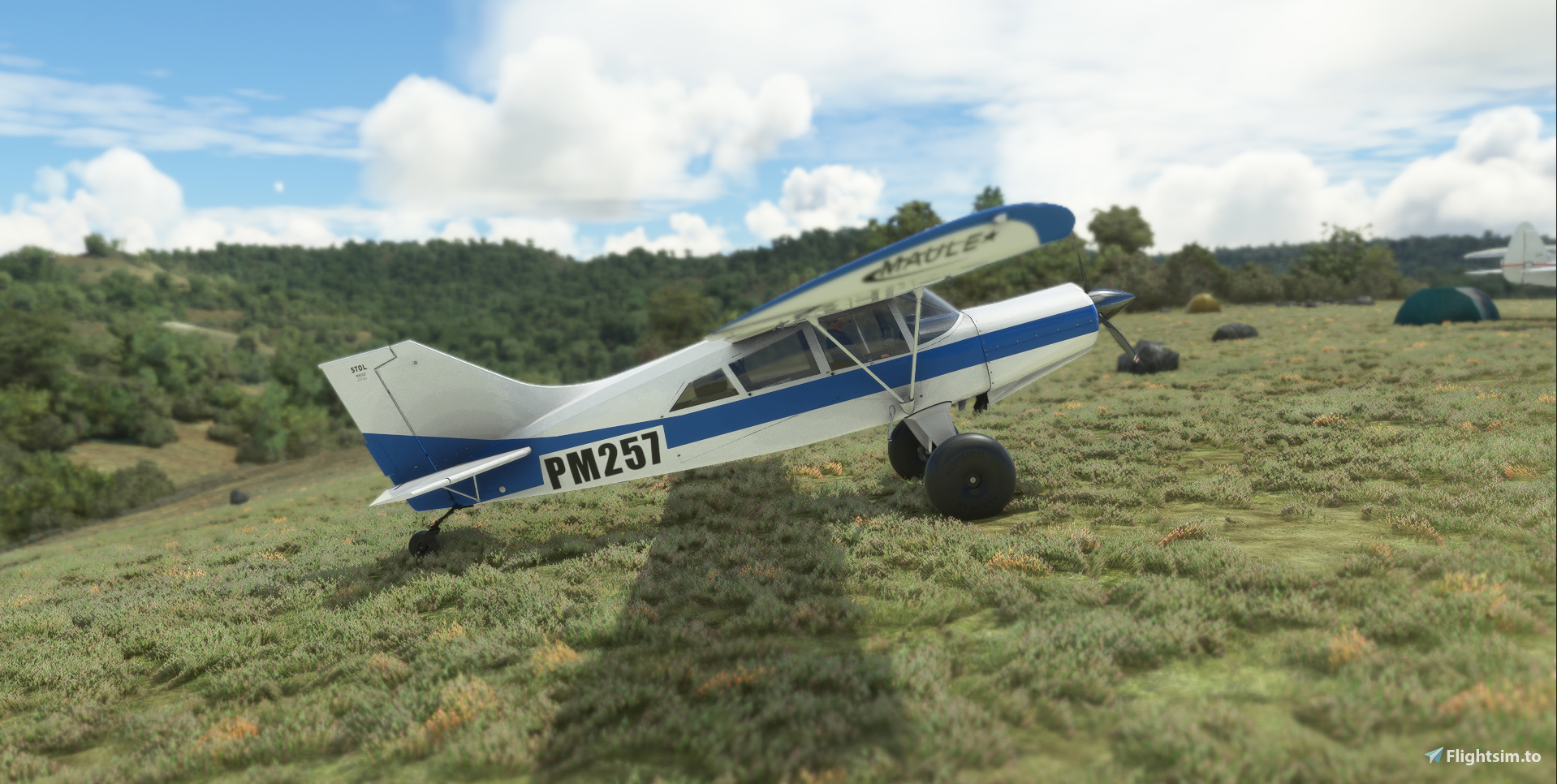 Pilot Experience Sim "Maule M7-235" white blue stripe - MSFS Add-on ...