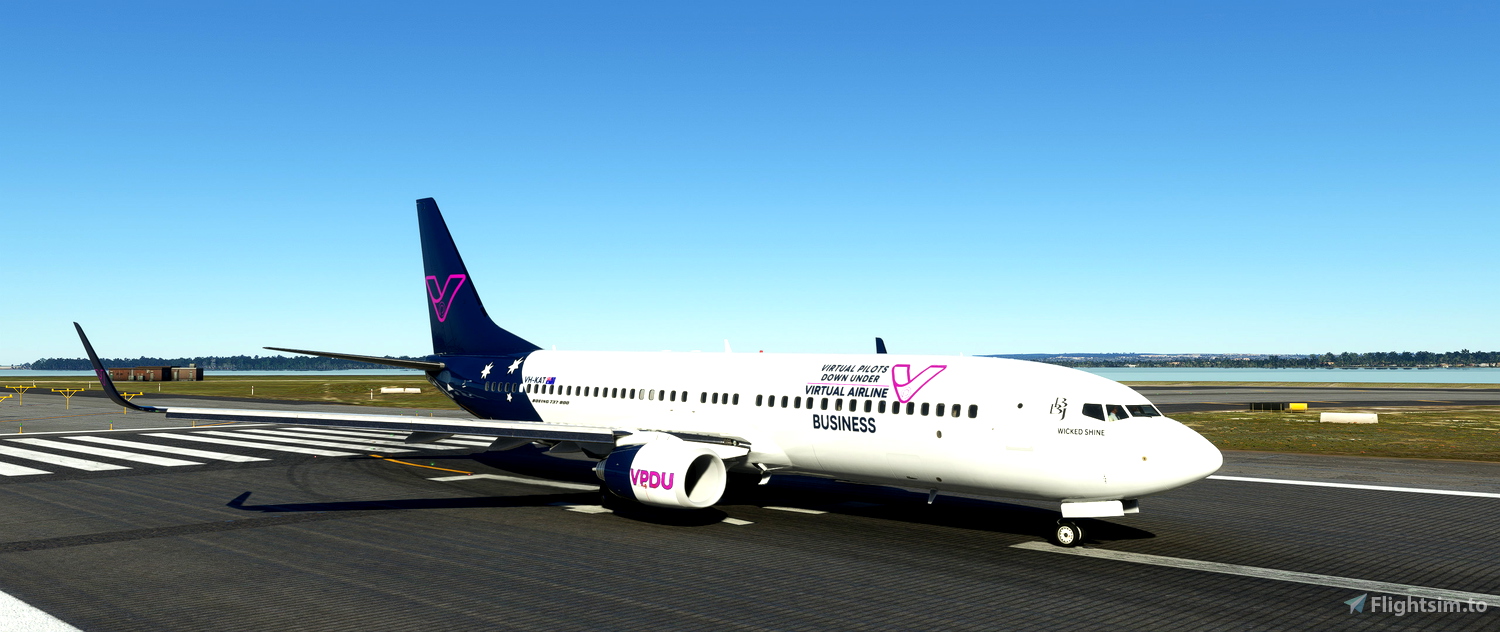PMDG Boeing 737-800 Liveries for Microsoft Flight Simulator | MSFS ...