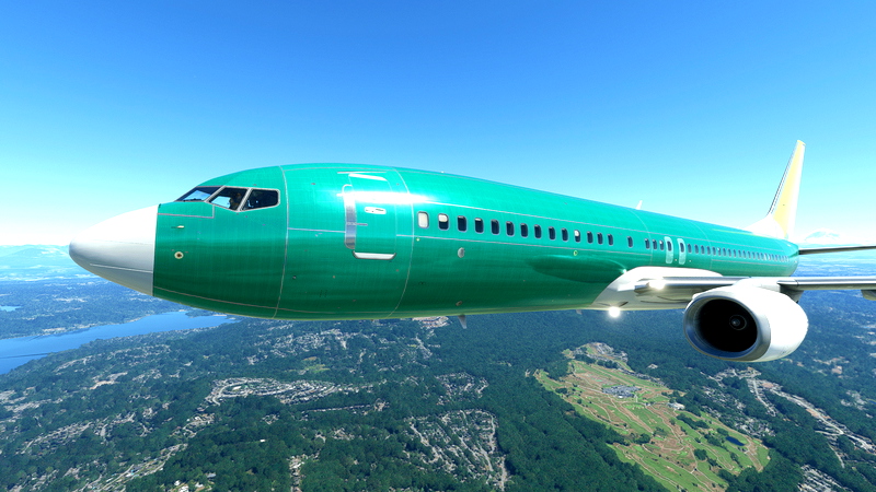 PMDG 737-800 Boeing Factory Primer [CUSTOMIZABLE] for Microsoft Flight ...