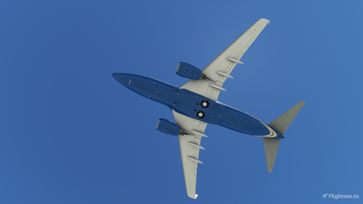 PMDG 737-800BBJ2 Las Vegas Sands Corporation Fleet for Microsoft Flight ...