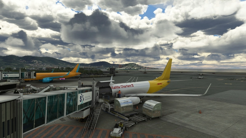 PMDG 737-800BCF Kalitta Charters N733CK for Microsoft Flight Simulator ...