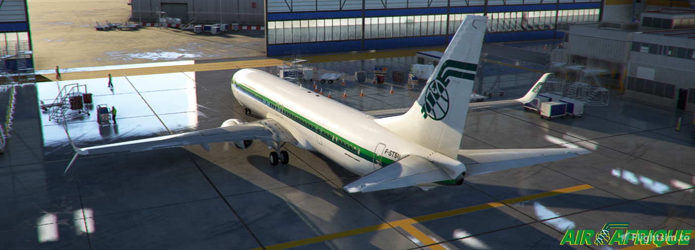 PMDG B737-900ER plus SSW Air Afrique F-STSN for Microsoft Flight ...