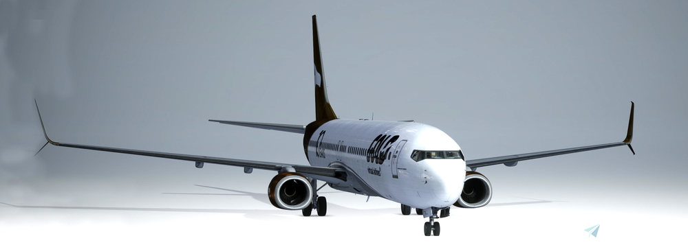 PMDG Boeing 737-900 - Gold Virtual Airlines - 10 Years for Microsoft ...