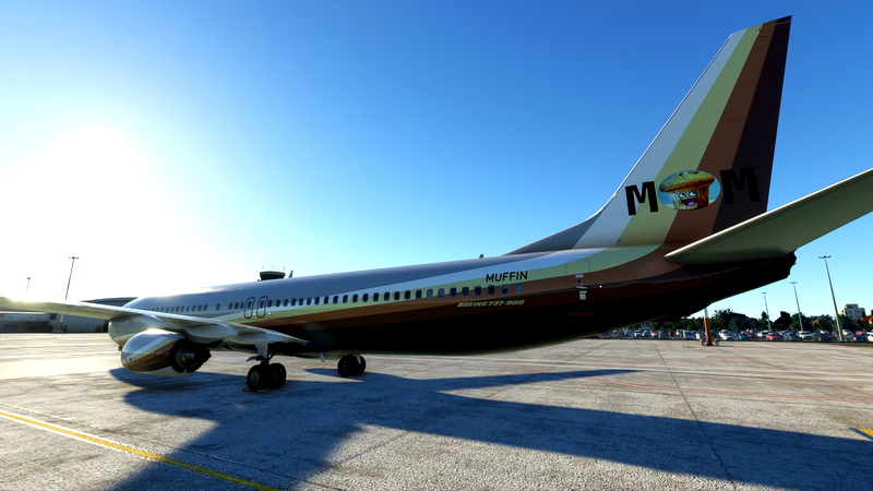 PMDG Boeing 737-900 Repaint for a Twitch Streamers channel for ...