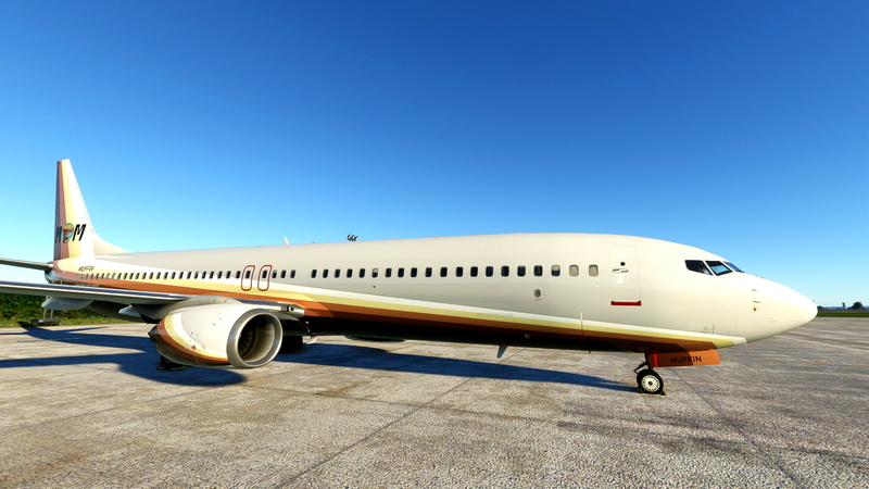 PMDG Boeing 737-900 Repaint for a Twitch Streamers channel for ...