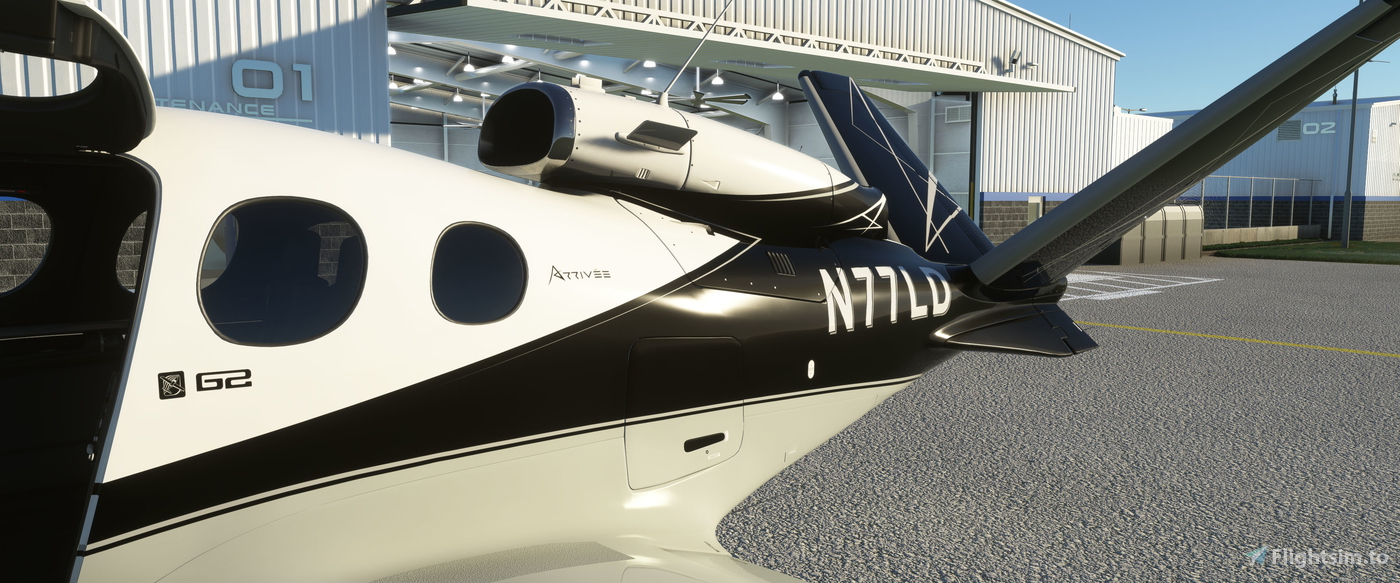 SF50 Vision Jet G2 N77LD & Custom reg. for Microsoft Flight Simulator ...