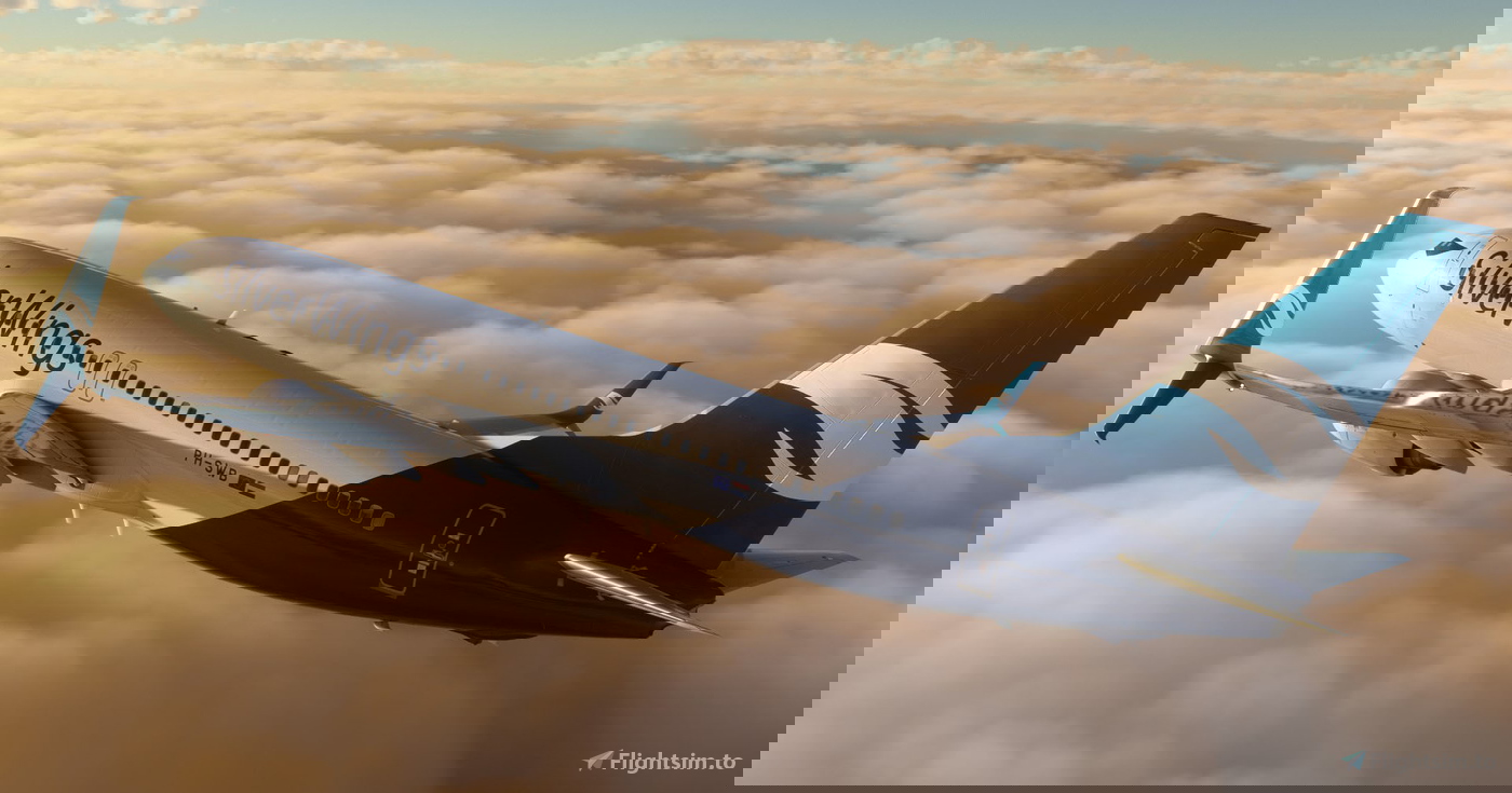 SilverWings PMDG B737-800 Scimitar winglets für Microsoft Flight ...