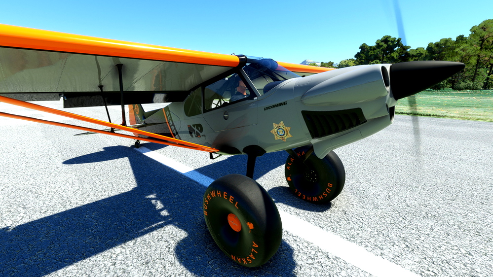 XCub Tundra Scrappy Livery pour Microsoft Flight Simulator | MSFS