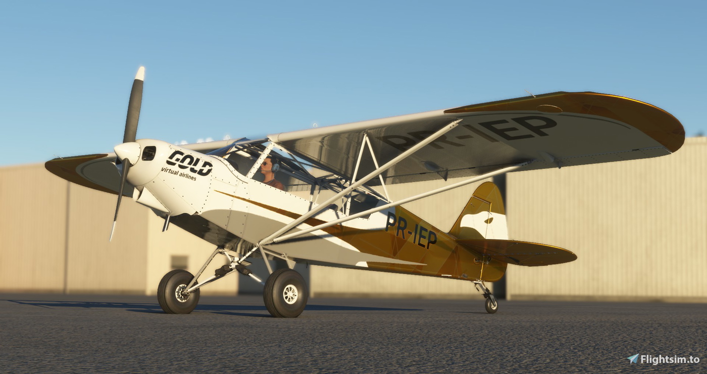 Zlin Savage Cub - Gold Virtual Airlines - 10 Years for Microsoft Flight ...