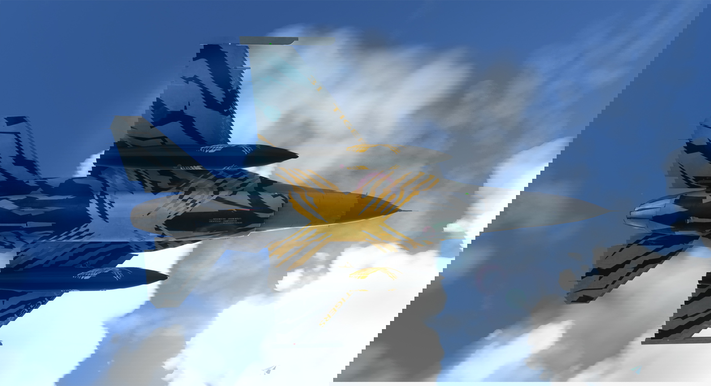 2021 XTM X-Tiger livery for Microsoft Flight Simulator | MSFS