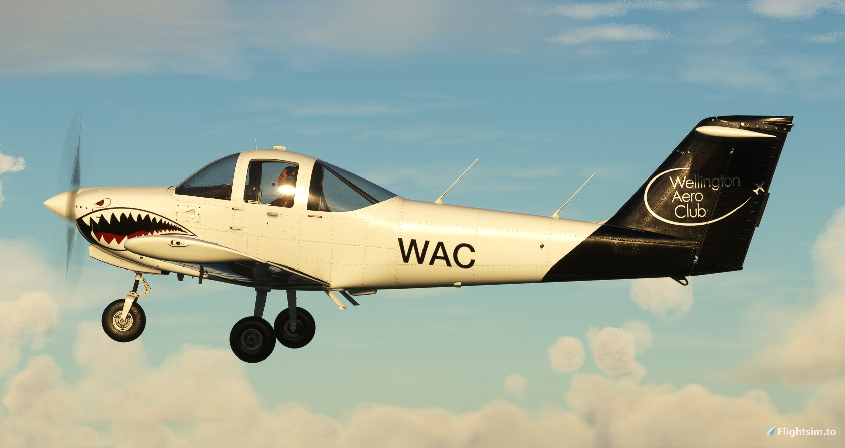 ZK WAC Wellington Aero Club PA38 JustFlight PA 38 Piper Tomahawk 8K ZK WAC Wellington Aero Club PA38 JustFlight PA 38 Piper Tomahawk 8K