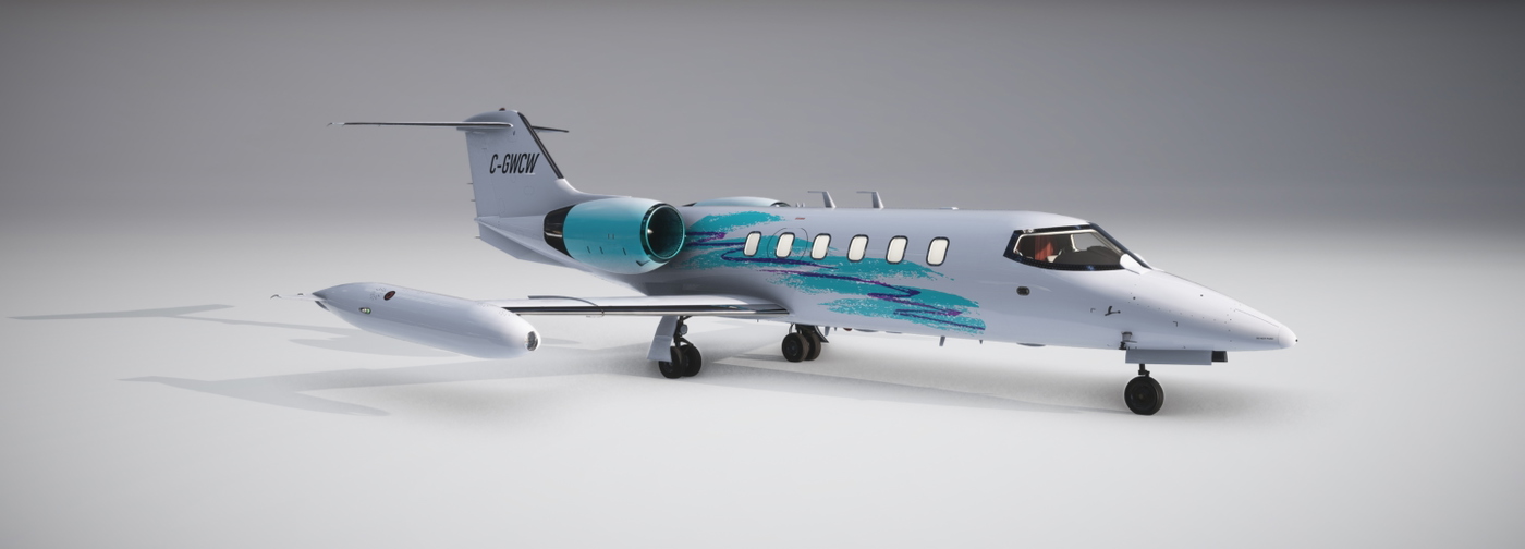 custom thumbnail creator view XML pour Microsoft Flight Simulator | MSFS