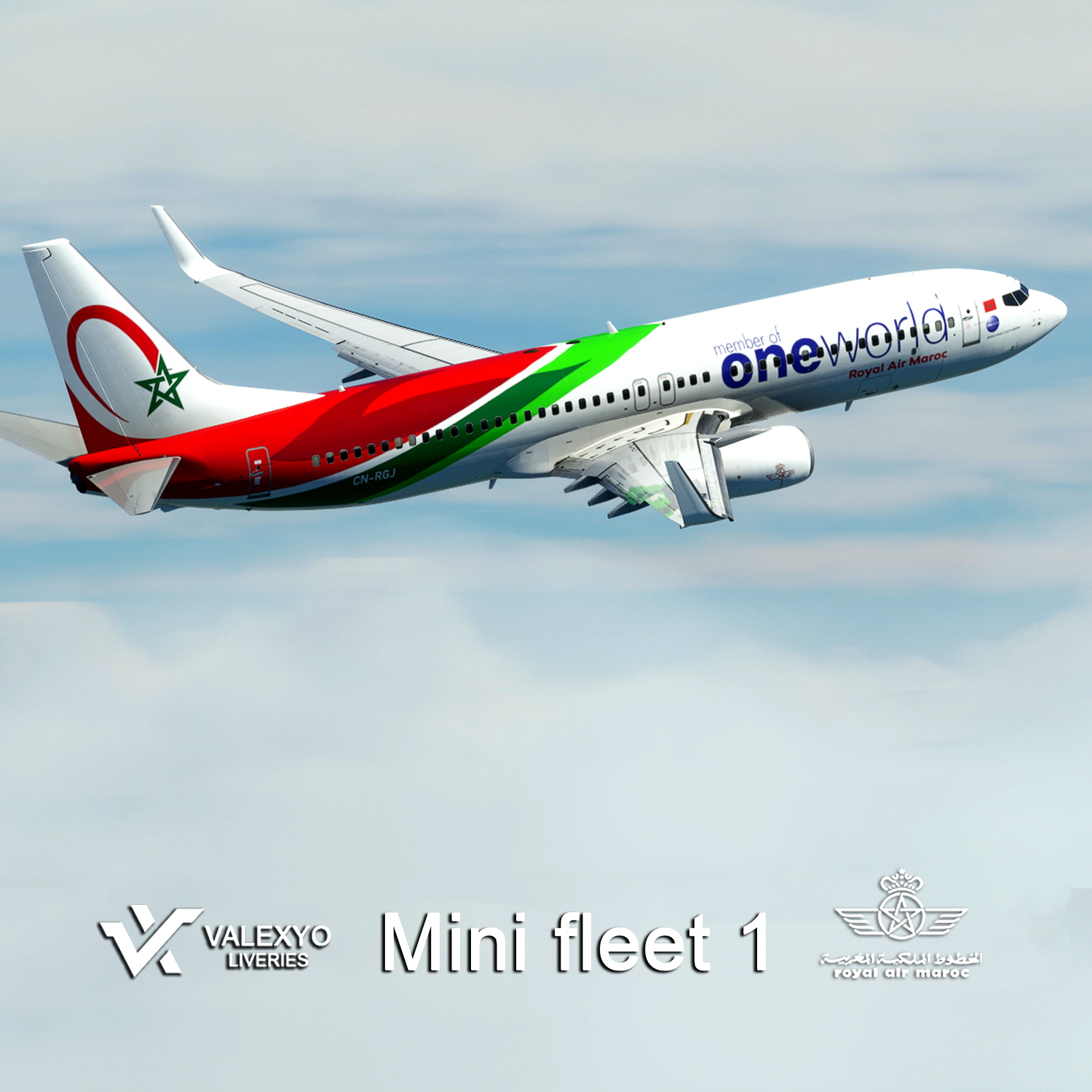 Liveries - PMDG Boeing 737-800 Add-Ons for Microsoft Flight Simulator ...