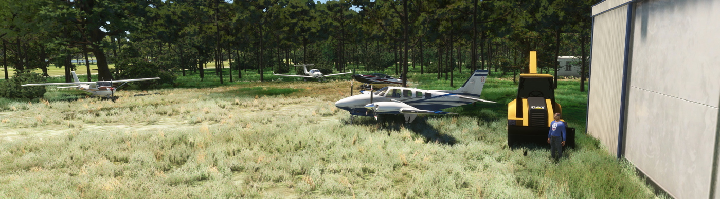 67FL - Bald Eagle Field / Mayaka Field for Microsoft Flight Simulator ...