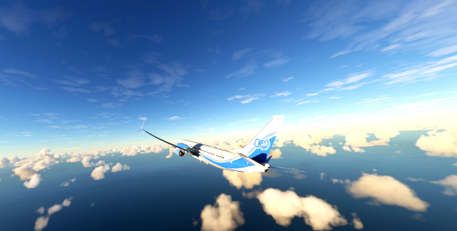 PMDG Boeing 737-800 Liveries für Microsoft Flight Simulator | MSFS ...