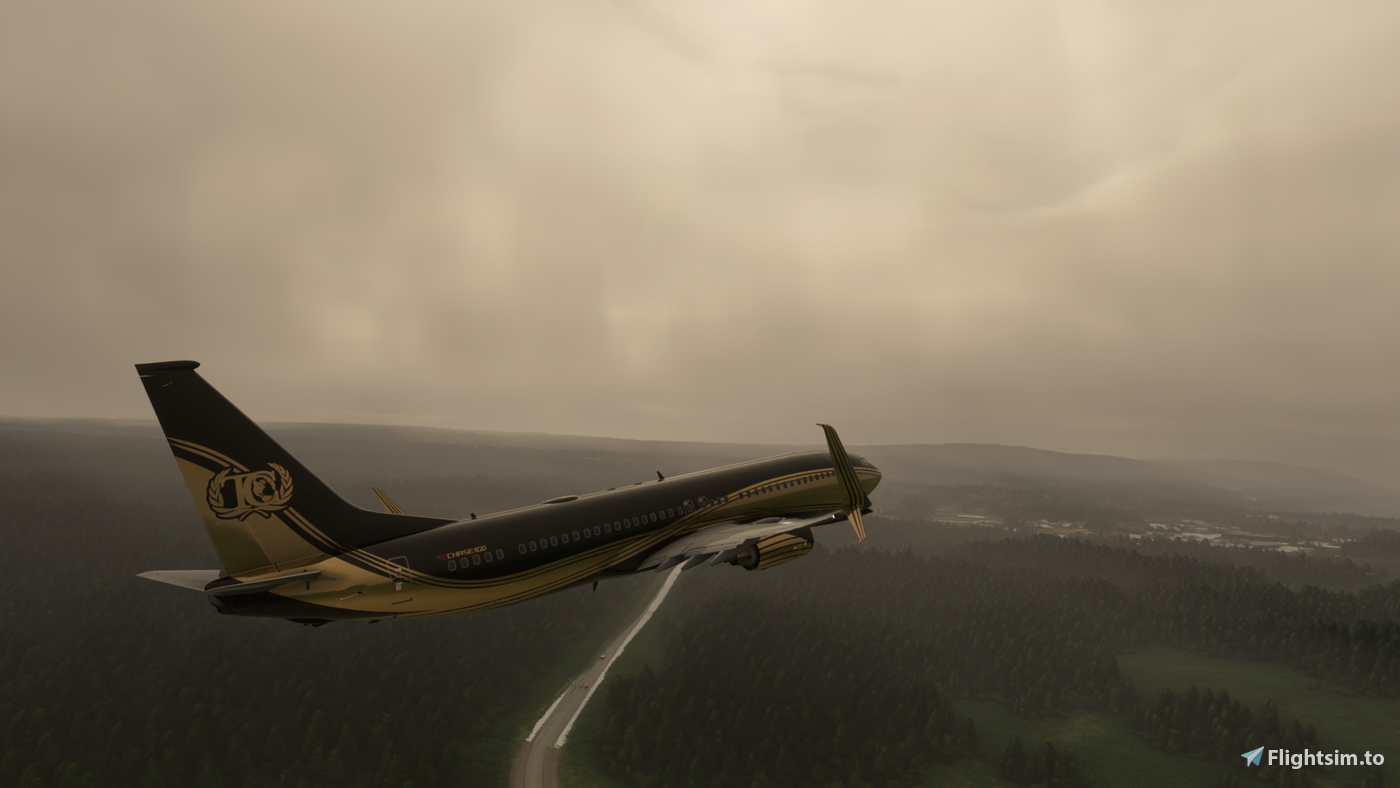 737-800 BBJ2 ChaseAir [Fictional] Golden Wing Livery [Gold][GD] for ...