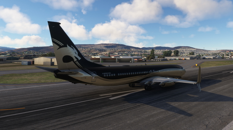 737-800 BBJ2 ChaseAir [Fictional] White Gold Dragon Livery [WG] for ...