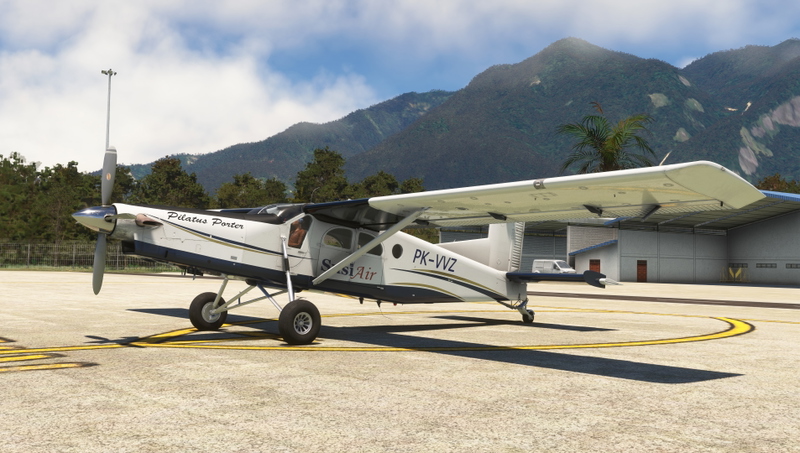 Pilatus PC-6 Porter Liveries for Microsoft Flight Simulator | MSFS