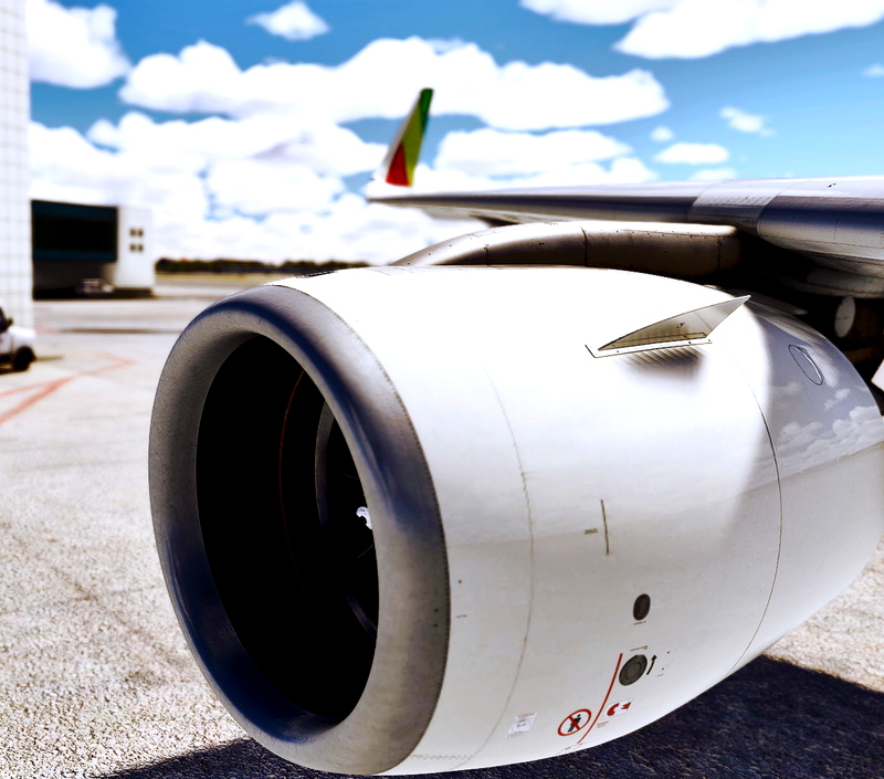 A20N Inibuilds | TAP Air Portugal CS-TVE "Amélia Rey Colaço" | High ...