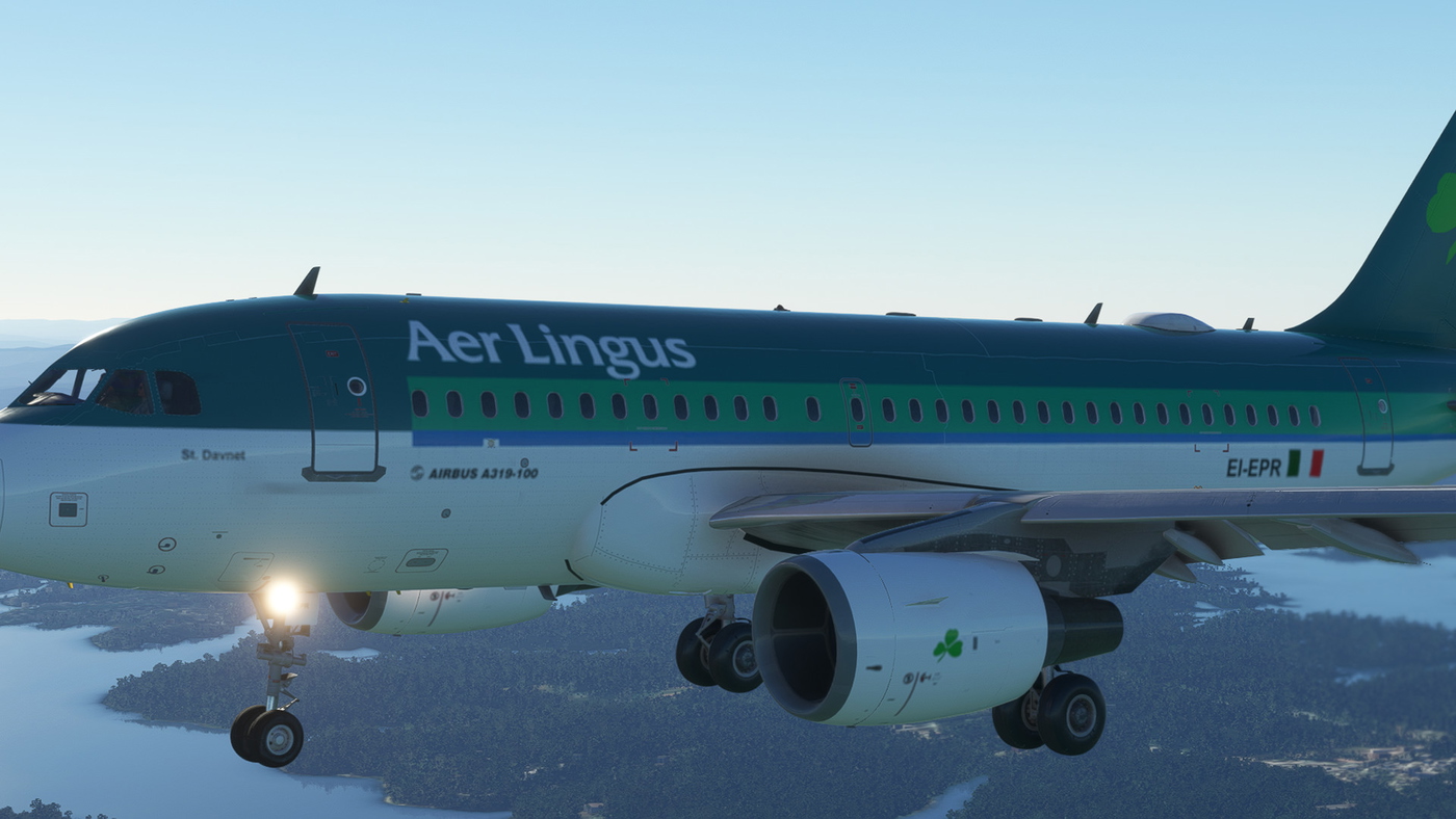 AER LINGUS A319-100 CEO for Microsoft Flight Simulator | MSFS
