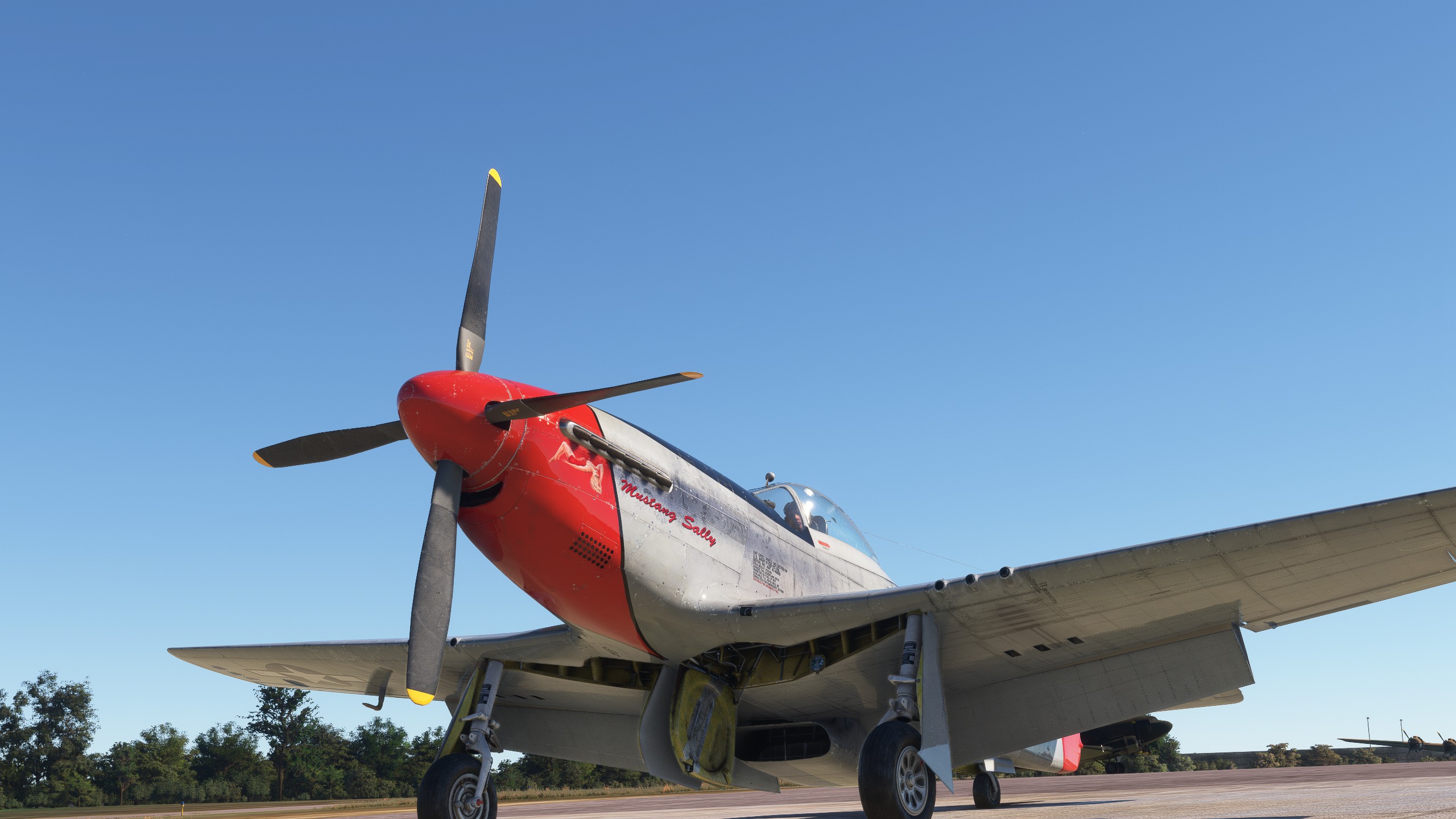 Aeroplane Heaven P-51D (Mustang Sally) N72FT - MSFS Add-on - Flightsim.to