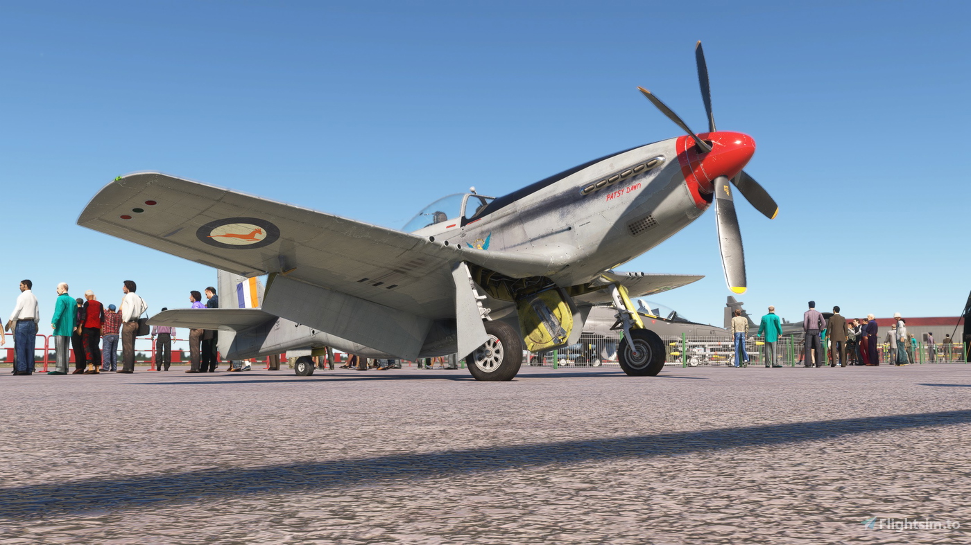 Aeroplane Heaven P-51D (South African Air Force , Patsy Dawn ,Nr:325) pour Microsoft Flight ...