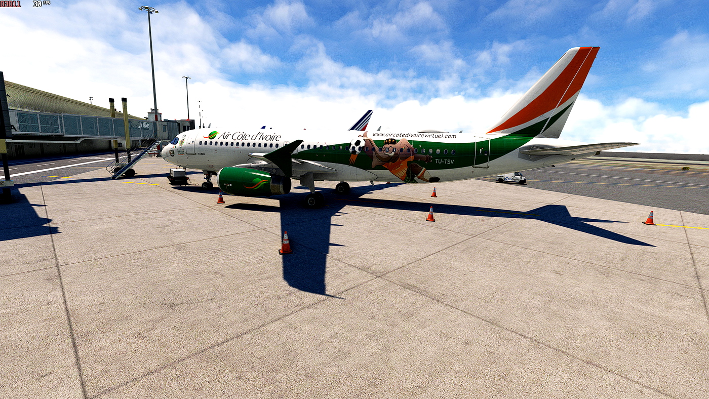 Air Côte d'Ivoire - Akwaba [IAE] for Microsoft Flight Simulator | MSFS