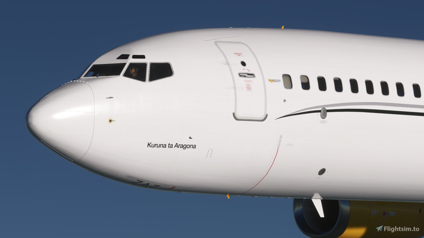 Air Horizont 9H-ZAZ (PMDG B737-800) Fictional based on IRL -400 for ...