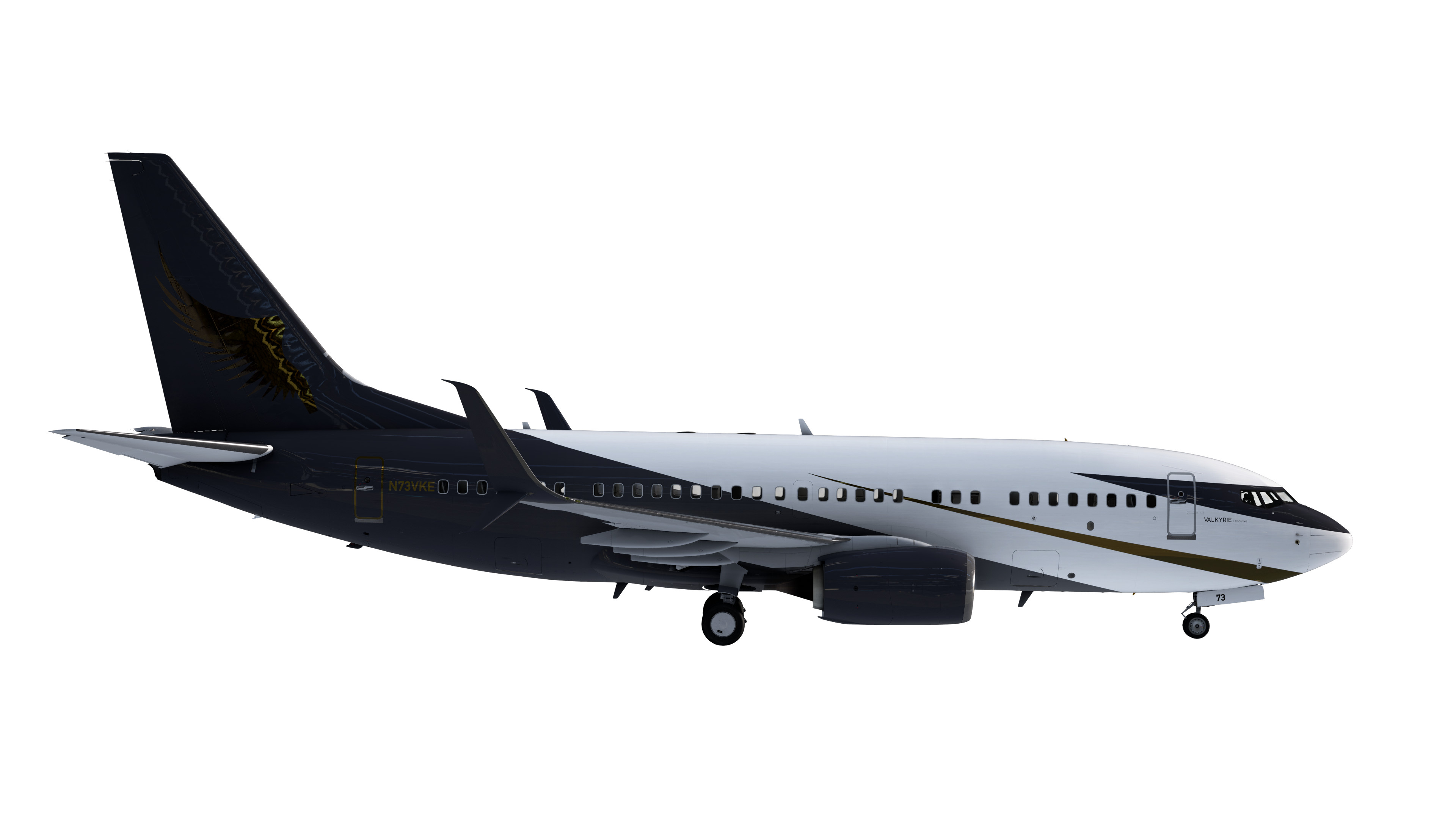 Air Valkyrie| N73VKE | Microsoft Flight Simulator | PMDG 737-BBJ - MSFS ...