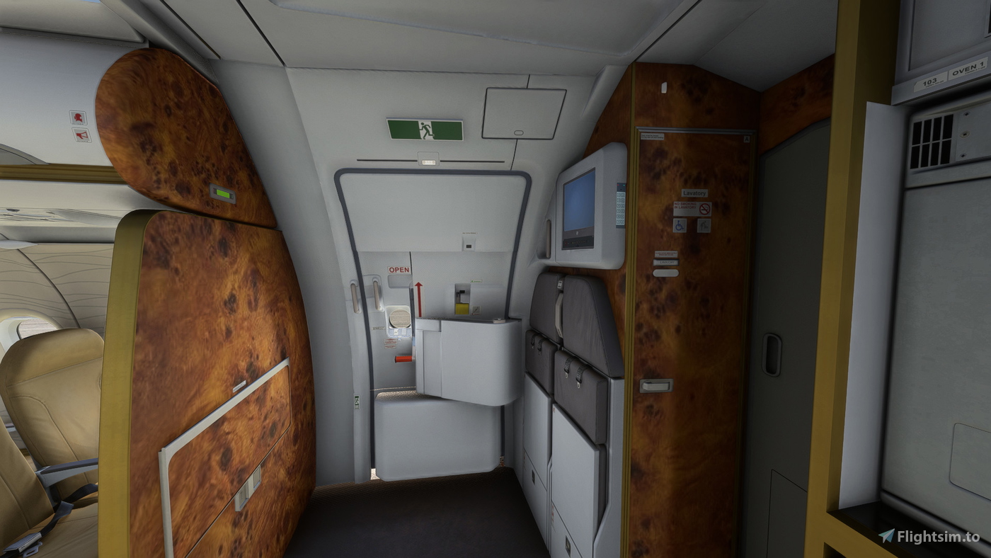 Airbus Business Jet | Private Airbus (STRIPES LIVERY)- with luxury ...