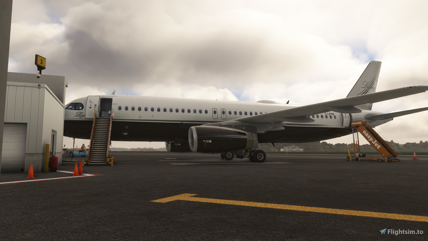 Airbus Business Jet | Private Airbus (SOLID COLOR LIVERY) - with luxury ...