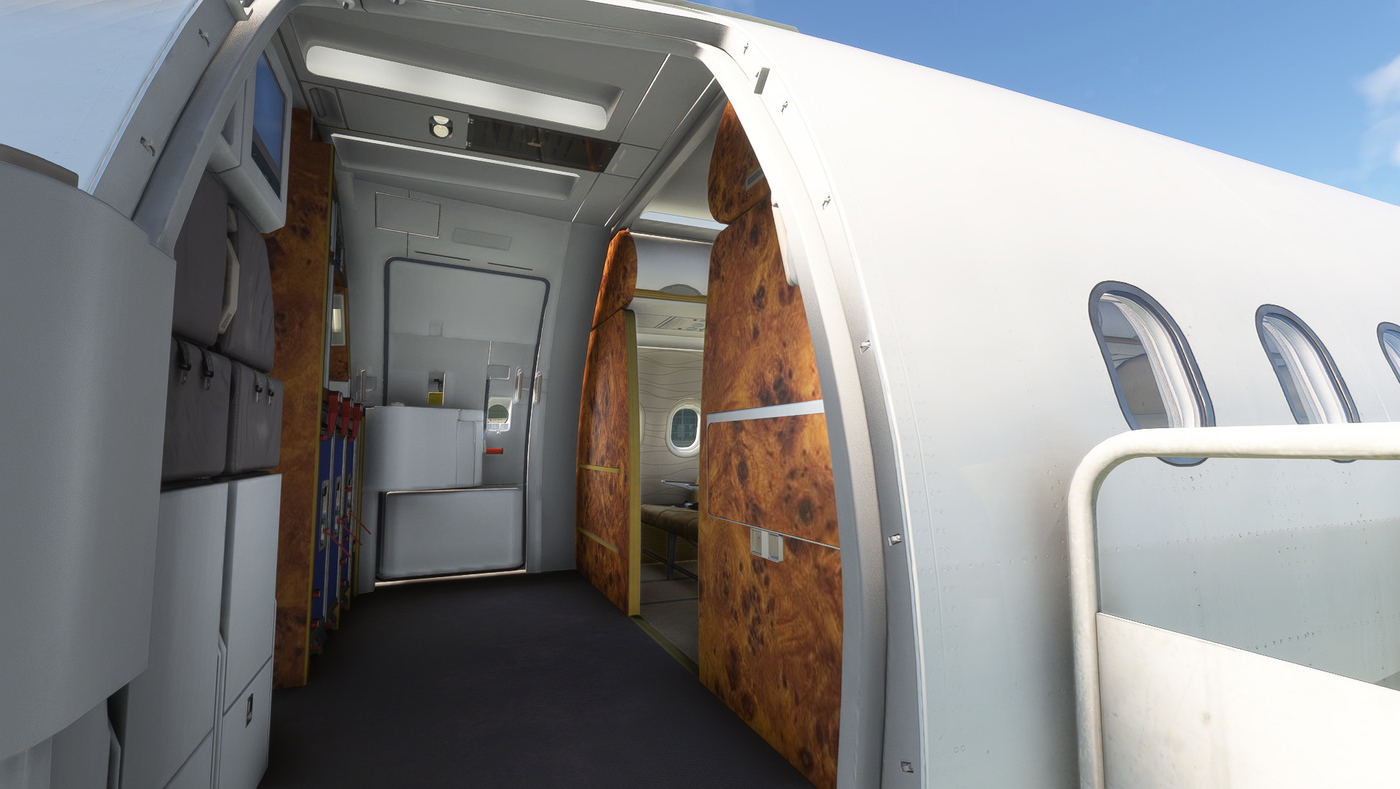 Airbus Business Jet | Private Airbus (SOLID COLOR LIVERY) - with luxury ...
