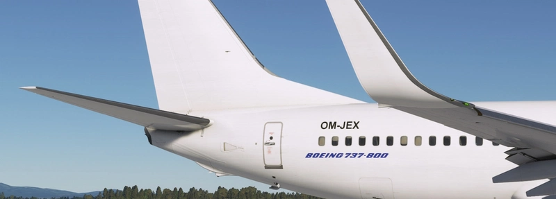 PMDG Boeing 737-800 Liveries for Microsoft Flight Simulator | MSFS