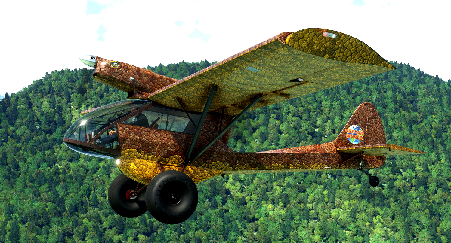 Other Liveries Liveries for Microsoft Flight Simulator | MSFS ...