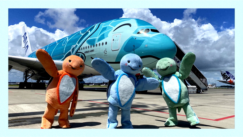 ANA Airbus A-380 Turtle Liveries for Levath's FSX Conversion (2 ...