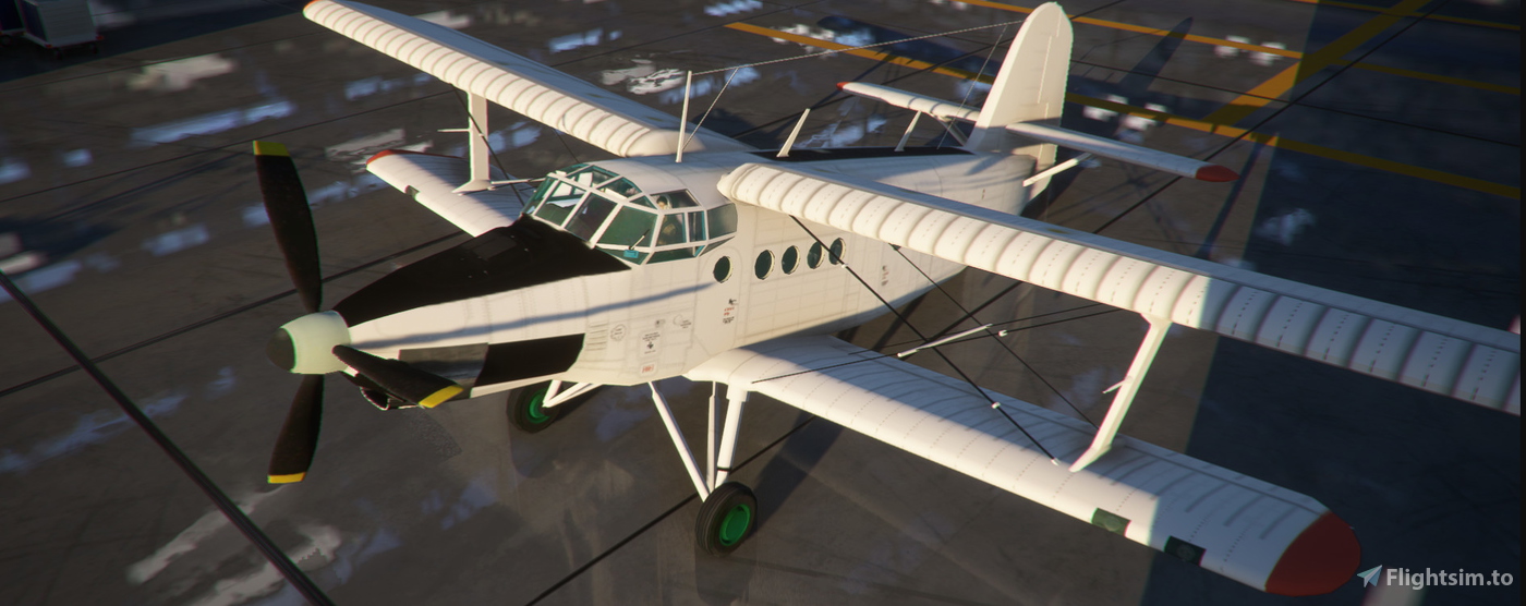 Antonov An-3 (FSX port with VR) for Microsoft Flight Simulator | MSFS