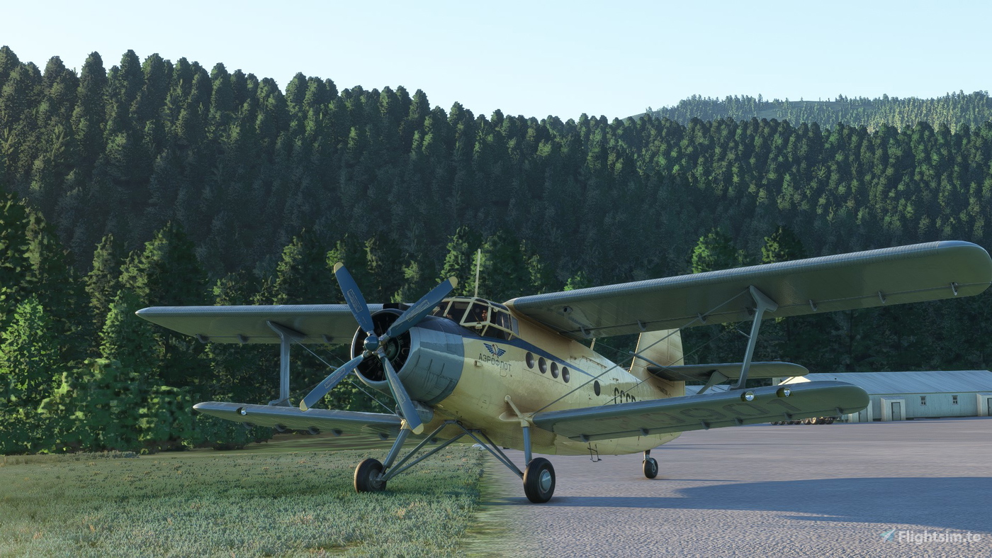 Antonov2-CCCP-79901 for Microsoft Flight Simulator | MSFS