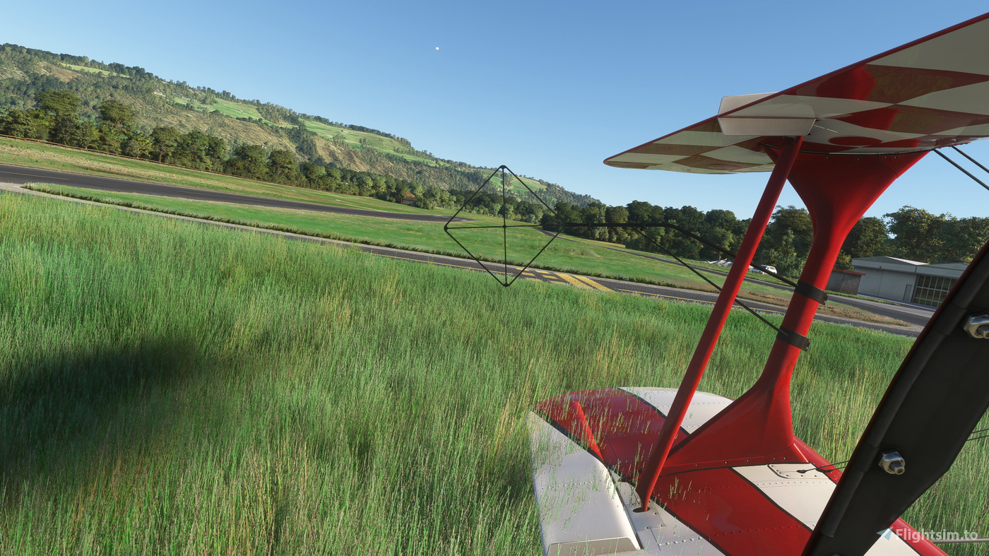 Asobo - Aviat Pitts Special S-2S (and Pitts S-1 Reno) - Better Cameras ...